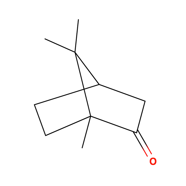 What is Camphor? - Floraplex Terpenes