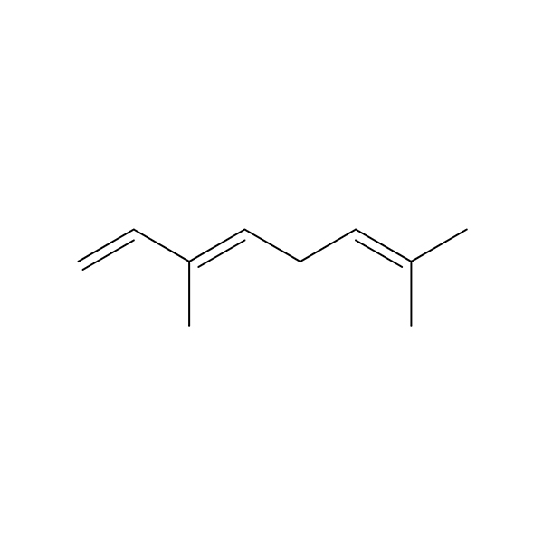 What is Ocimene? - Floraplex Terpenes