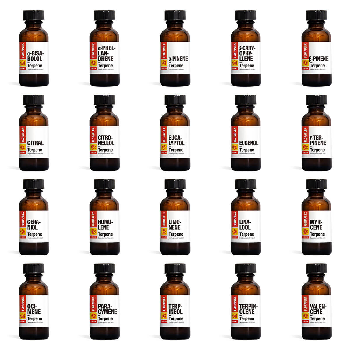 Isolated Terpenes Sample Pack Bundle • Floraplex Terpenes