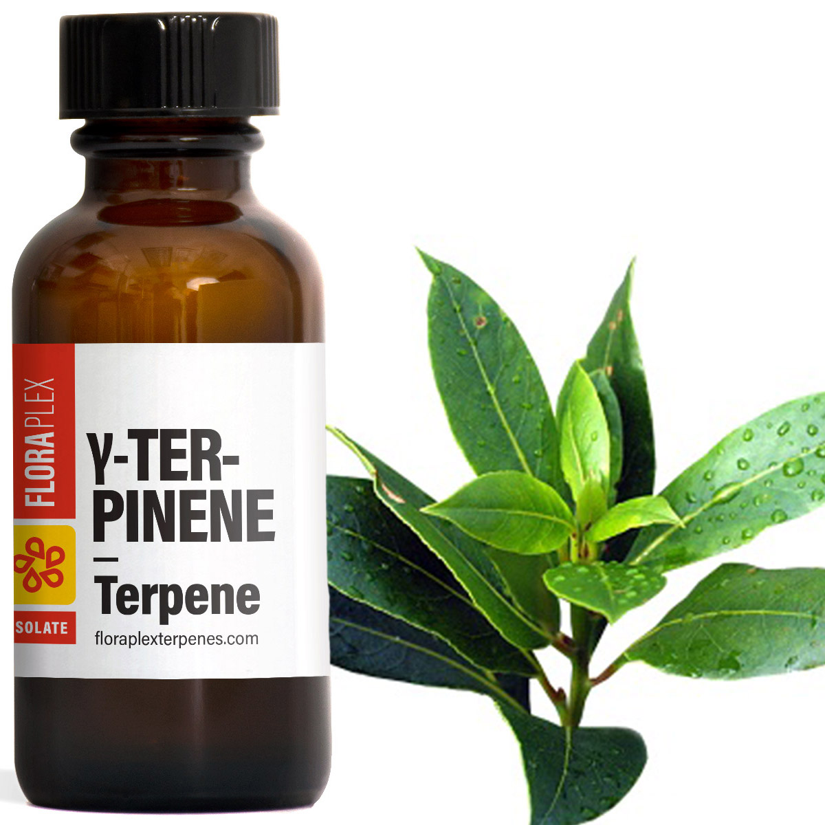 Gamma-Terpinene for Sale • Buy Terpenes Online • Floraplex